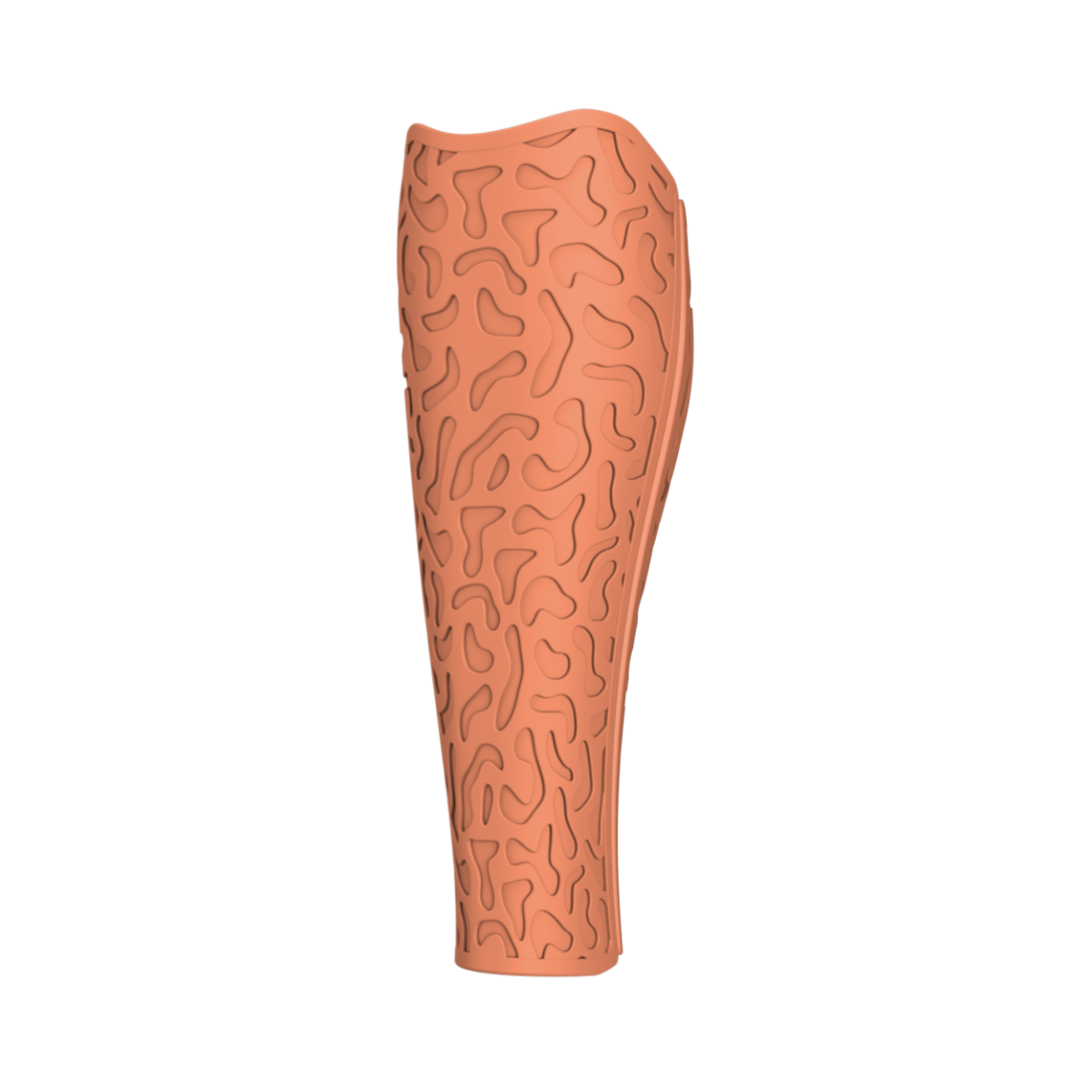 Forma Anatomic Studios Forma Anatomic Studios
